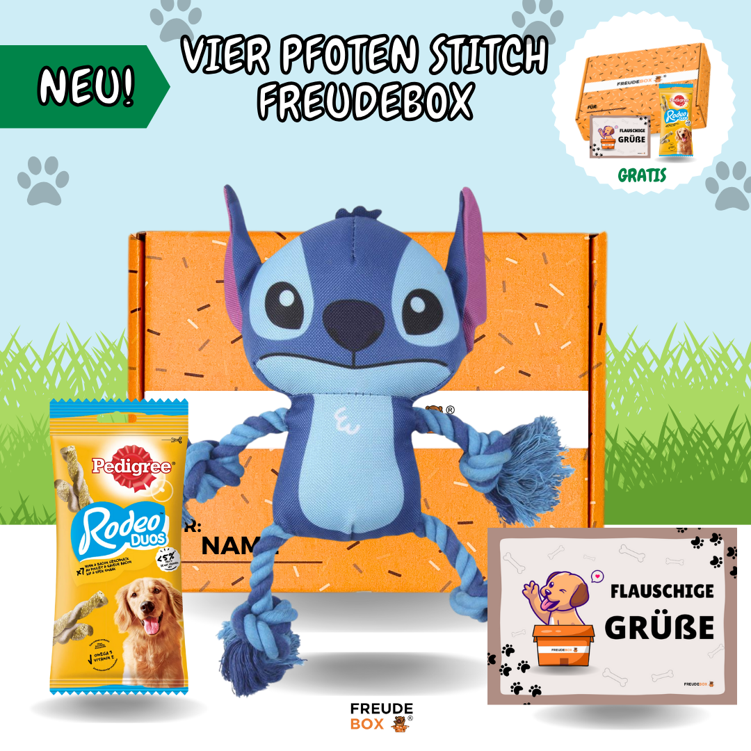 Geschenk für Hundebesitzer Stitch online kaufen | Freudebox | FREUDEBOX®